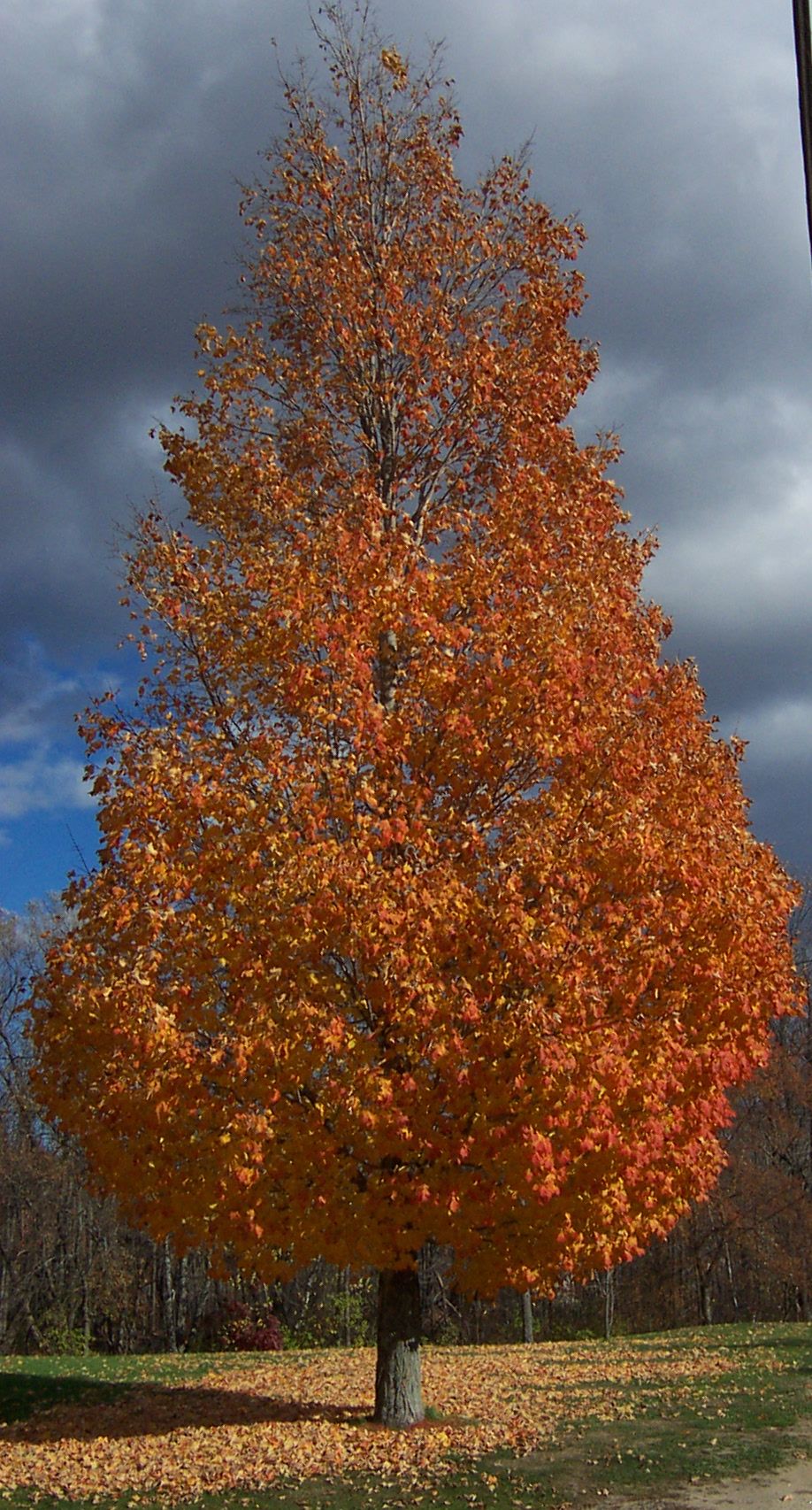 Images from arround Maine, USA